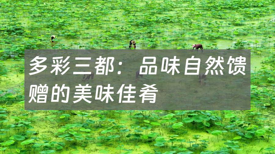 多彩三都：品味自然馈赠的美味佳肴